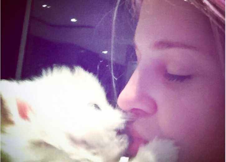 50 lucky dogs with their awesome celebrity owners
