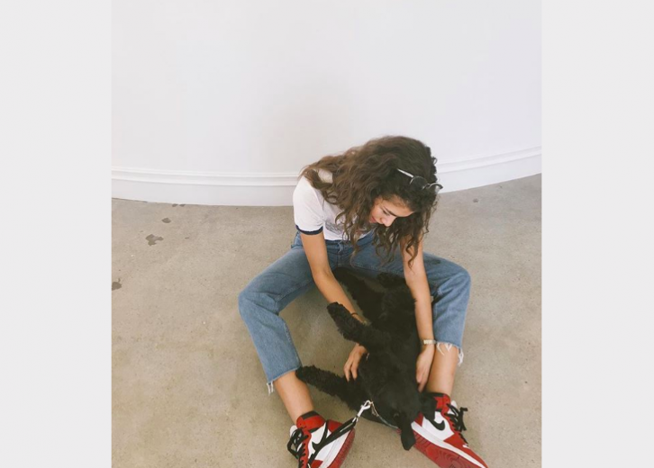 50 lucky dogs with their awesome celebrity owners