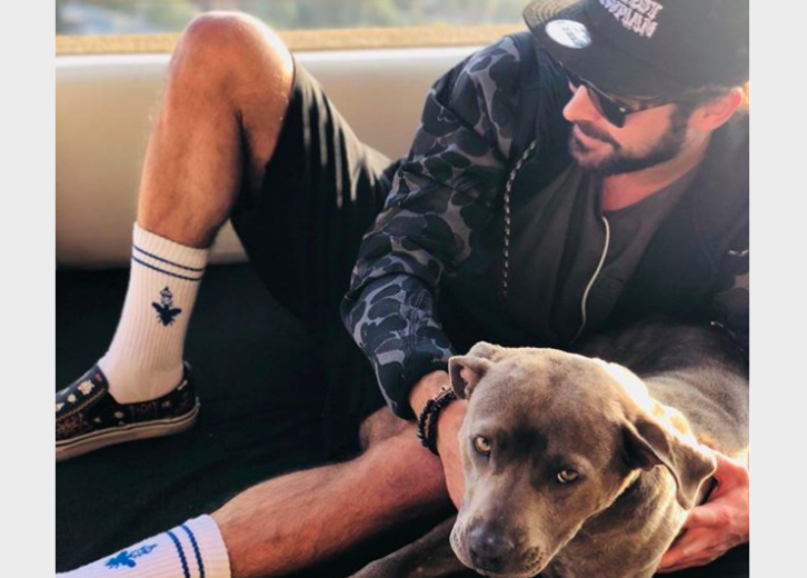 50 lucky dogs with their awesome celebrity owners