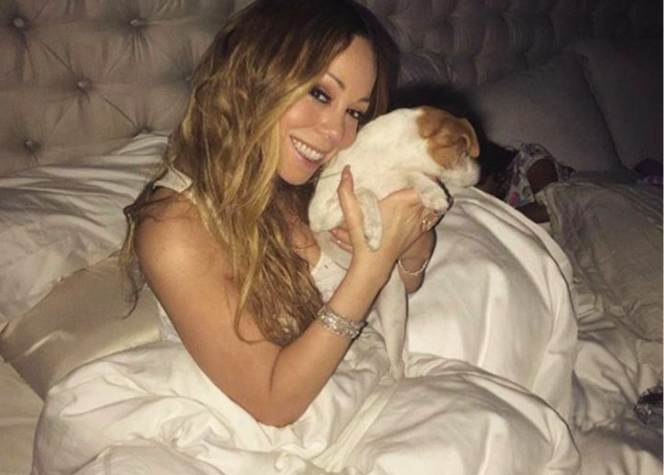 50 lucky dogs with their awesome celebrity owners
