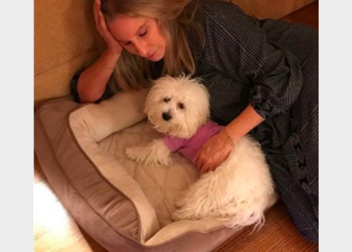 50 lucky dogs with their awesome celebrity owners