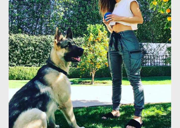 50 lucky dogs with their awesome celebrity owners