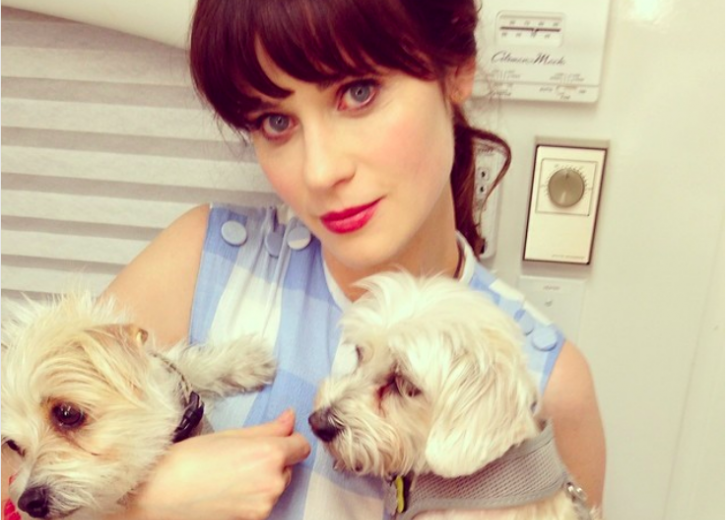 50 lucky dogs with their awesome celebrity owners