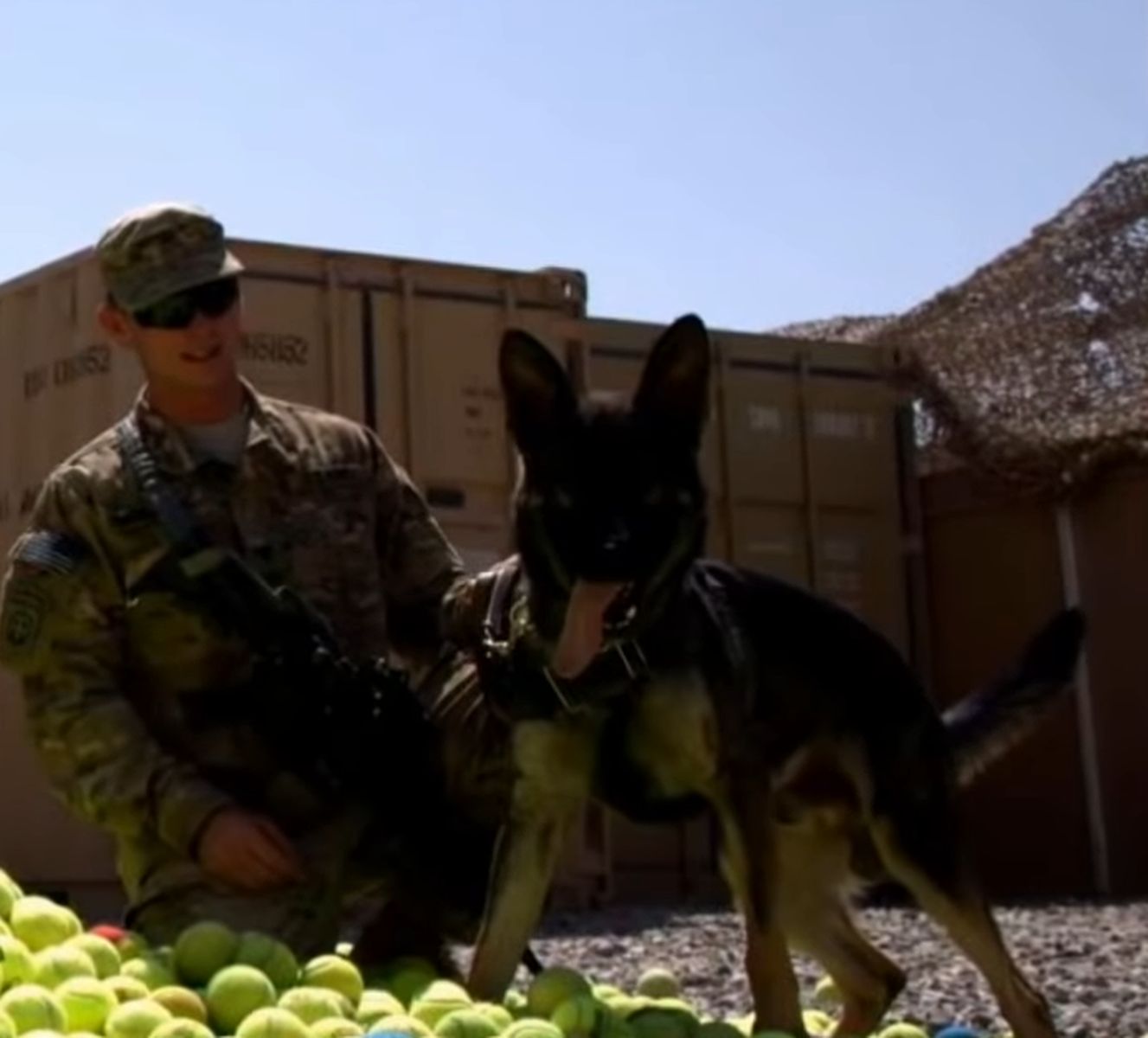 Emotional reunion between soldier and dog after 3 years apart