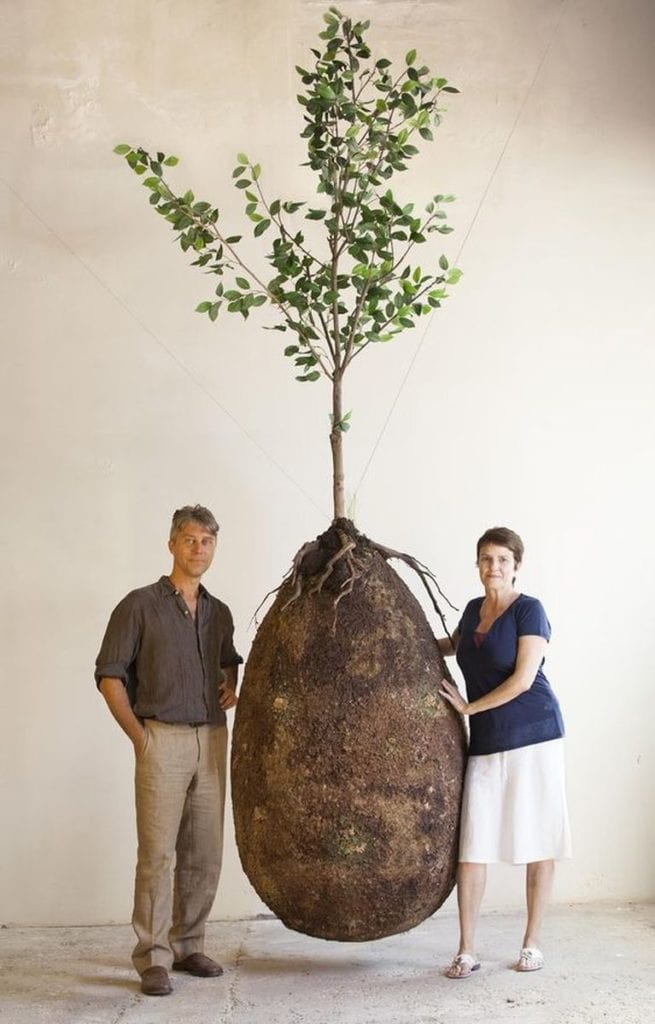Forget coffins – these organic burial pods turn you into a tree when ...