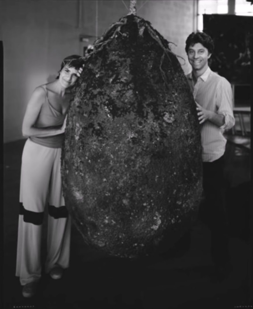 Forget coffins – these organic burial pods turn you into a tree when ...