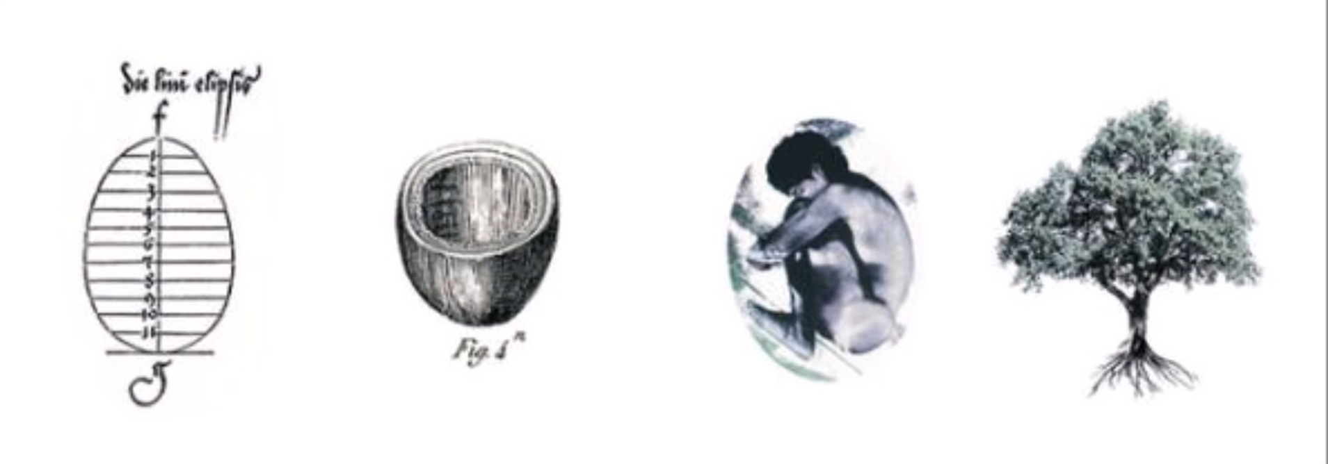 Forget coffins – these organic burial pods turn you into a tree when ...