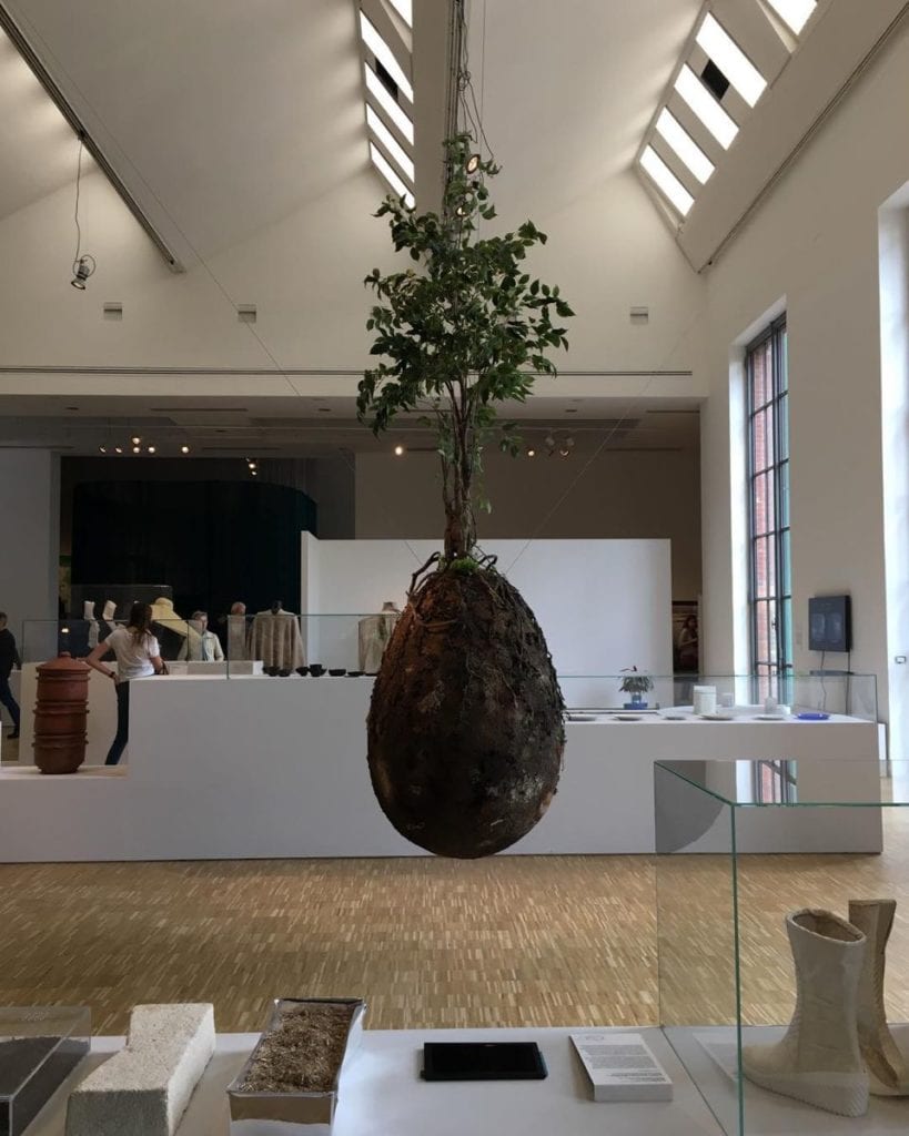 Forget coffins – these organic burial pods turn you into a tree when ...