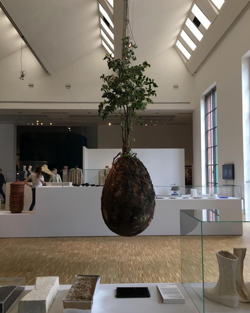 Forget coffins – these organic burial pods turn you into a tree when ...