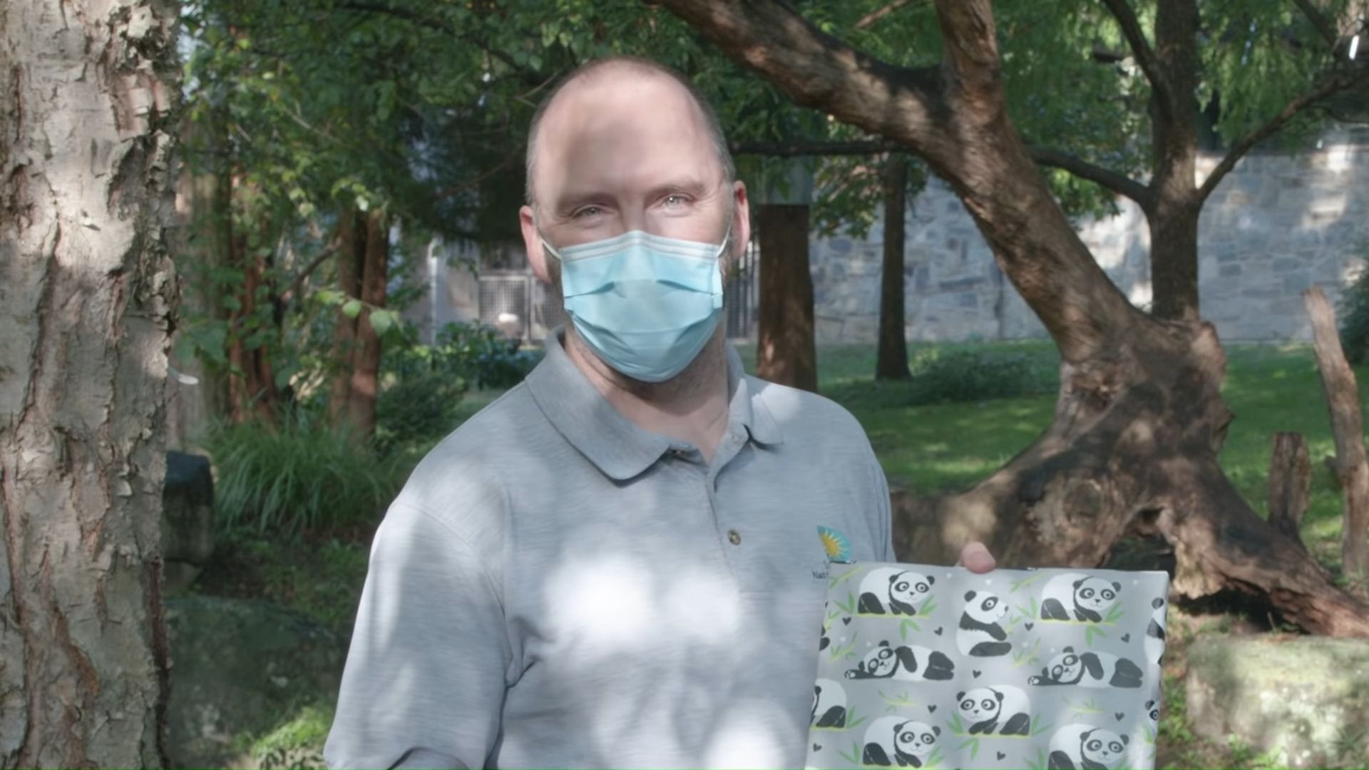 National zoo throws creative gender reveal party for baby Giant Panda