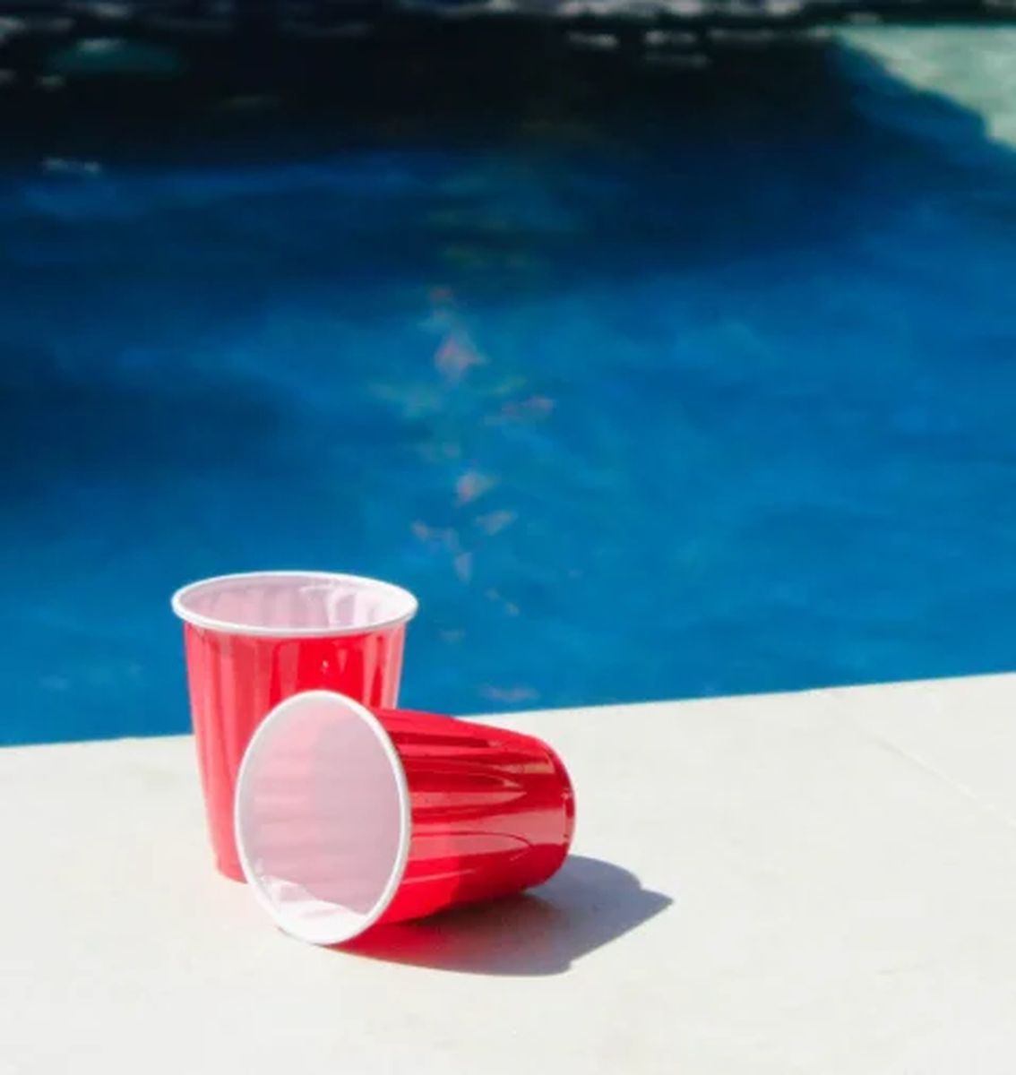 Family enjoying pool when massive elephant decides to join them