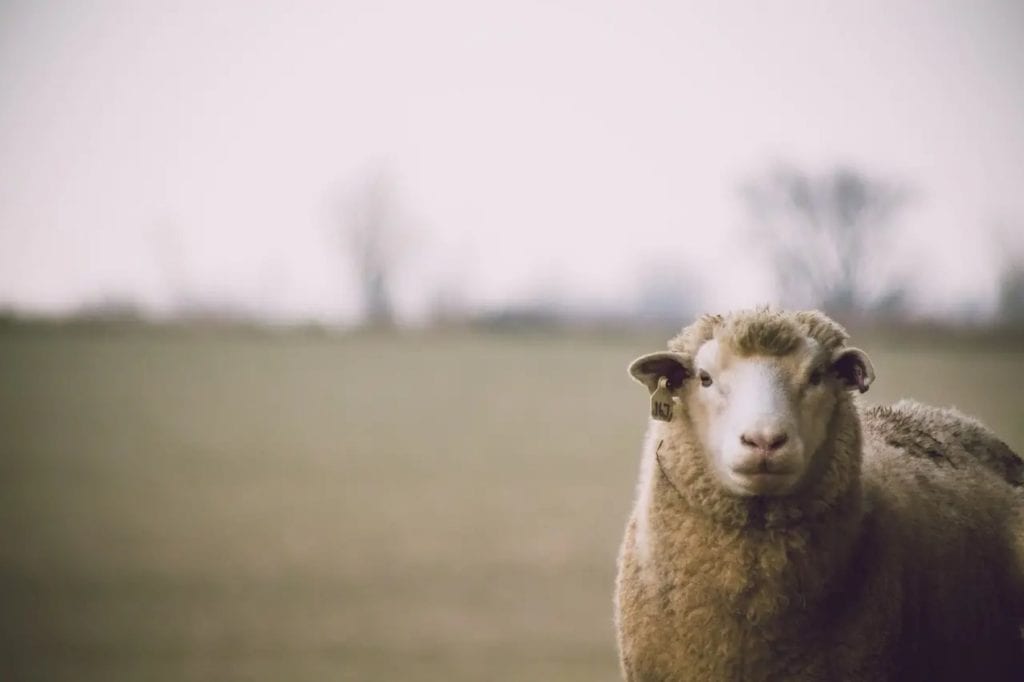 Bull has been imprisoned whole life, but the moment he’s set free is ...