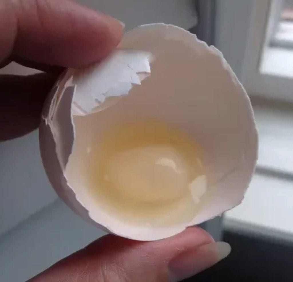 Man finds more than a yolk inside unusually large egg