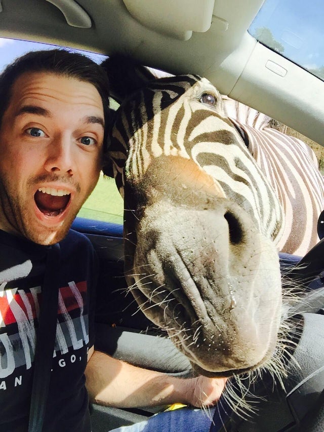 40+ funny people who never miss a chance to laugh at themselves