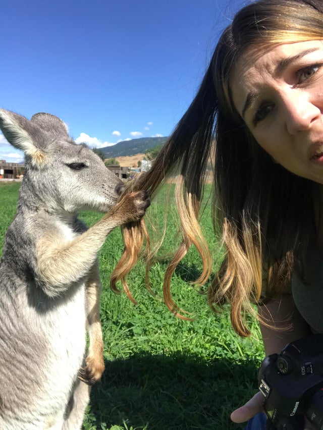 40+ funny people who never miss a chance to laugh at themselves
