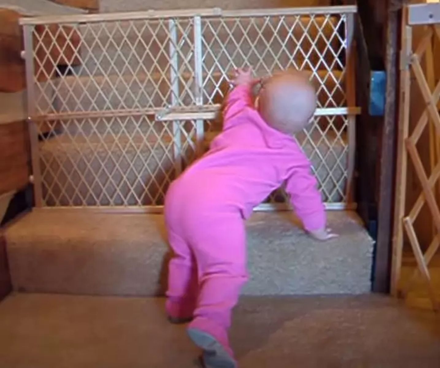 Baby girl’s clever “jailbreak” earns millions of views