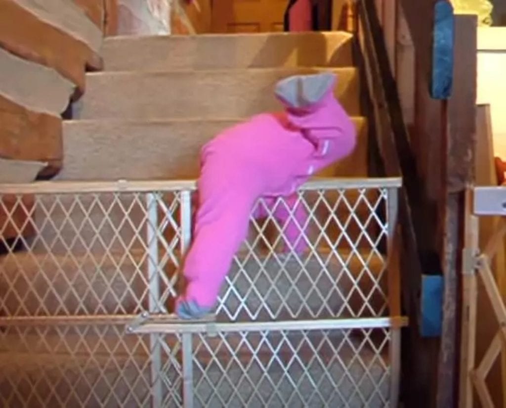 Baby girl’s clever “jailbreak” earns millions of views