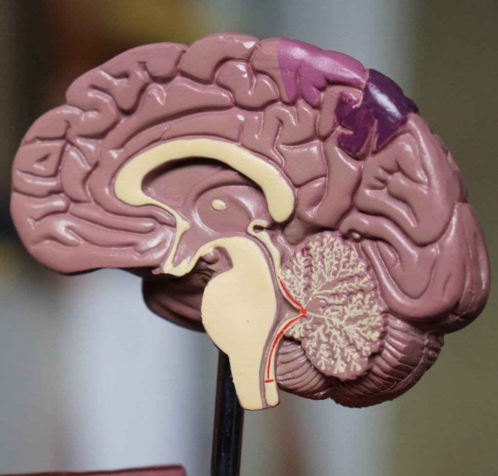 10+ fascinating facts about ambidextrous people