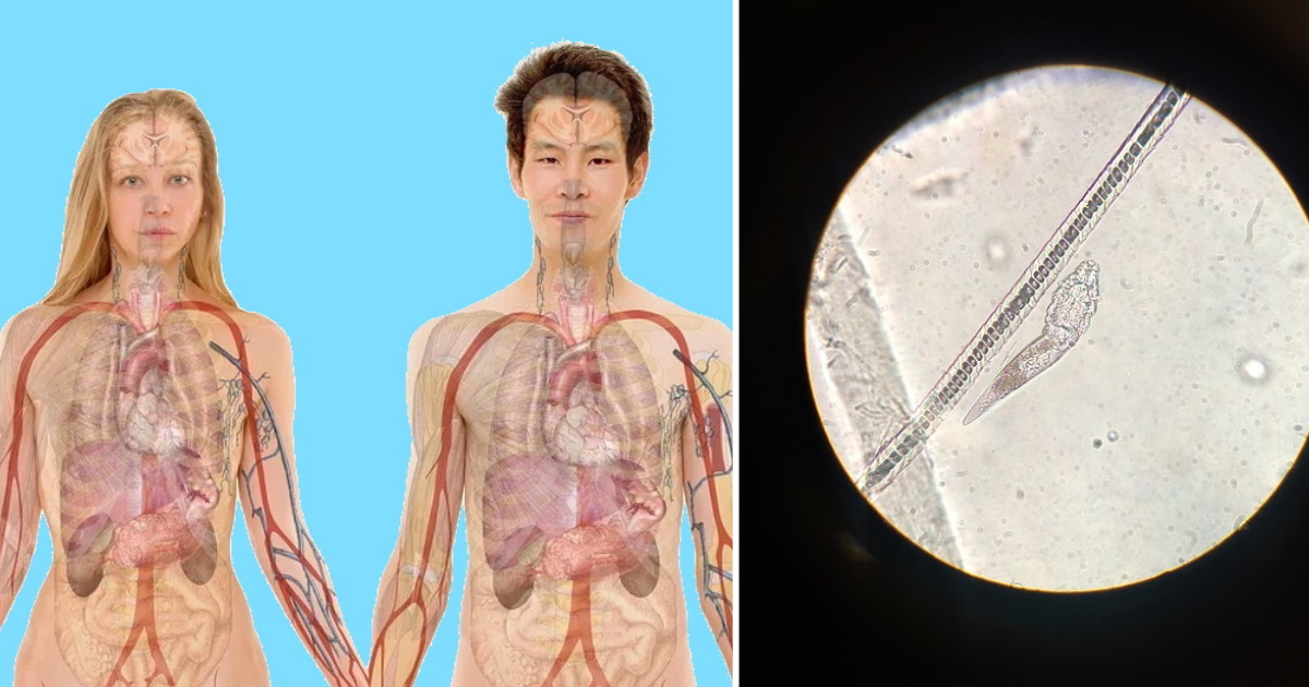 40 Odd Facts About The Human Body