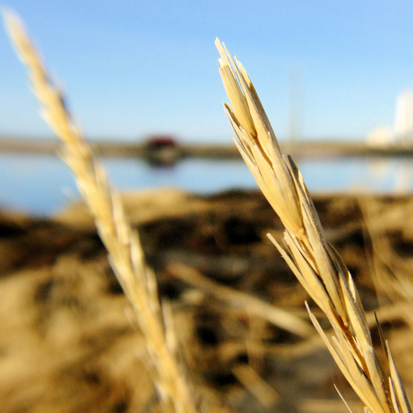 Learn what your urine color says about you