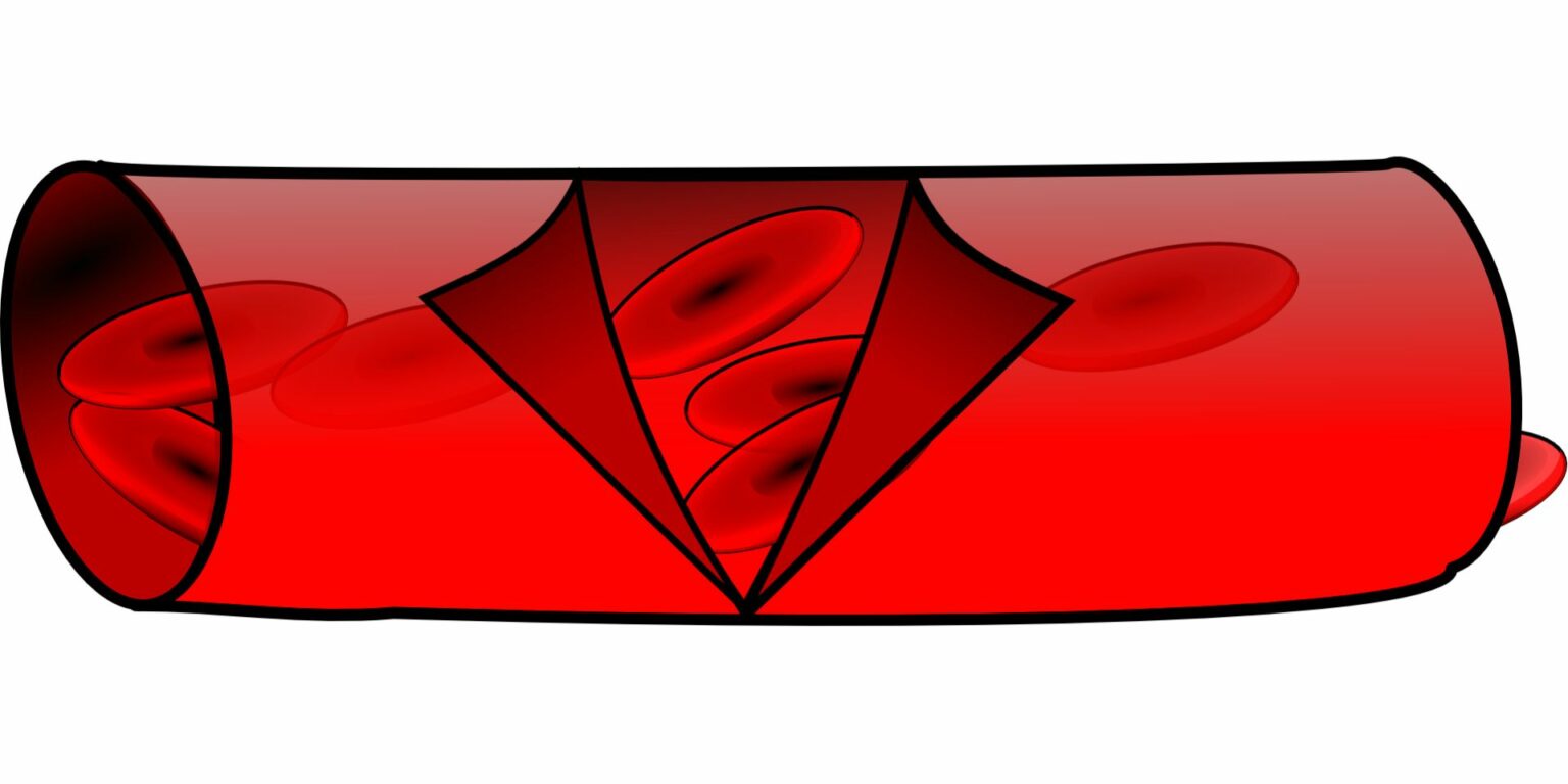 15 Unsettling Human Body Facts That’ll Make You Say “What the