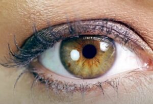 Rarest eye colors in the world explained – and the rarest is not what ...
